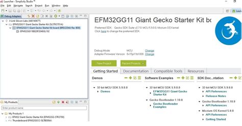 giant gecko starter kit could not connect debugger could not connect
