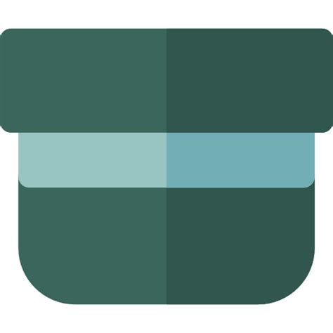 Skin Basic Rounded Flat Icon