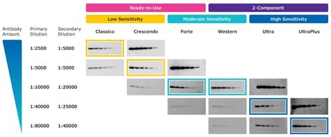 Immunodetection Reagents And Substrates