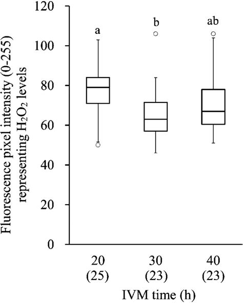 Box Plots Of The Mean Green Intensity Of Dcf Fluorescence In Oocytes