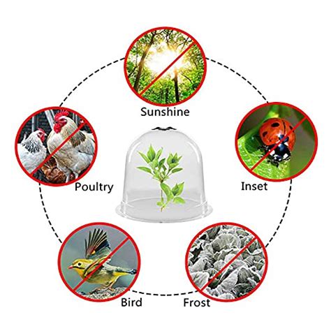 Dudnjc Lot De 6 Cloches De Protection En Plastique Réutilisables Pour