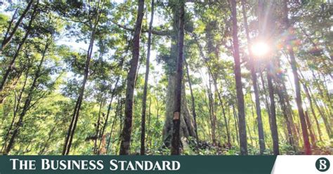 Of Hill Tracts Expeditions Tigers And Wondrous Wildlife A Monirul