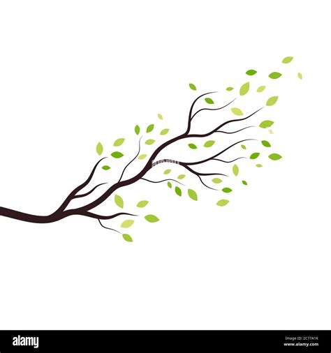 Tree Branch Vector Illustration Design Template Stock Vector Image Art Alamy