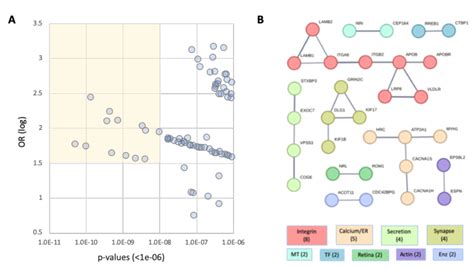 A Shows The Effect Size OR Along With The P Values For The More Download Scientific Diagram