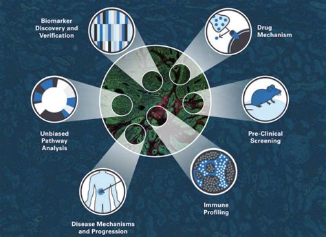 Spatial Transcriptomics Roswell Park Comprehensive Cancer Center