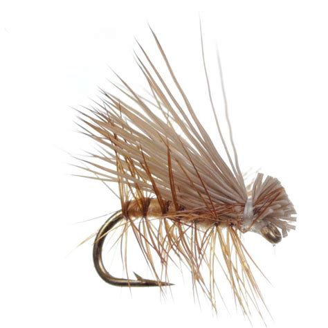 13 Best Caddis Nymph Patterns Every Angler Should Have In Their Fly Box Aquinaflies
