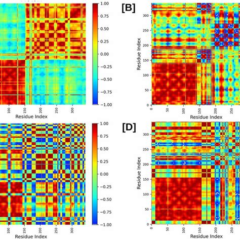 dynamical cross correlation matrix dccm analysis of secreted aspartic