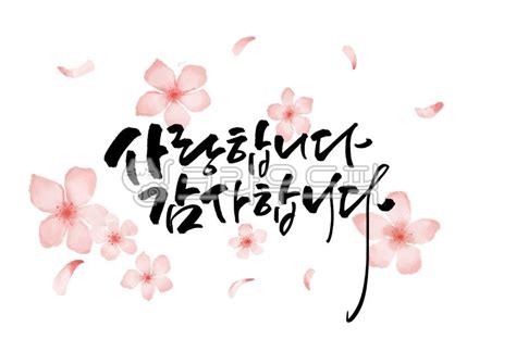 사랑합니다 감사합니다 감사문구 사랑문구 인사말 사진이미지일러스트캘리그라피 빛내림작가