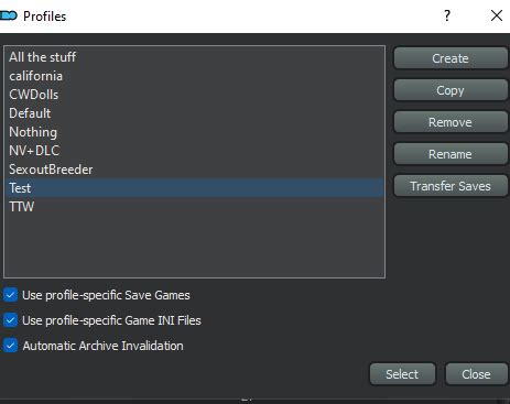 Using Mod Organizer 2 And Having A Hard Time Getting BNB To Work Fully Also Camera Breaks When