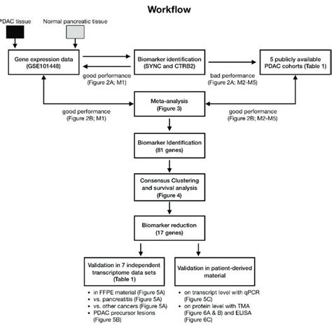 Schematic Workflow Of Analyses Download Scientific Diagram