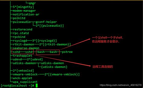 Shell基础 Bash变量 环境变量（图文详细） Bash 环境变量 Csdn博客