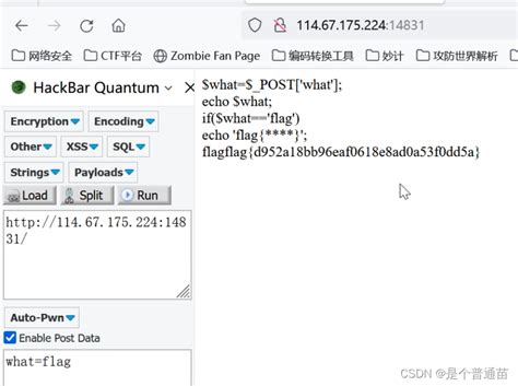 【bugku Web】postbugku Post Csdn博客 【bugku Web】postbugku Post Csdn博客