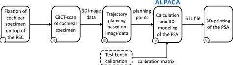 Flowchart Of The General Workflow For Creating An Individual Psa Download Scientific Diagram