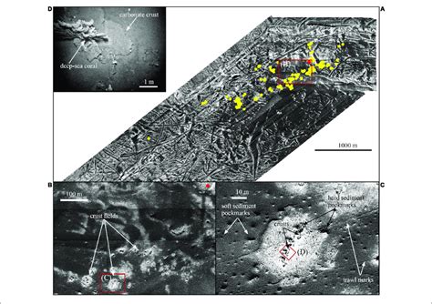 A Sas Imagery Of Area 2 With One Gas Flare Red Dot Carbonate