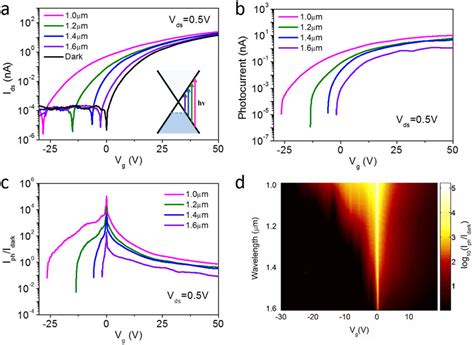 Tunable Optoelectronic Characteristic By Back Gate Voltage A Download Scientific Diagram