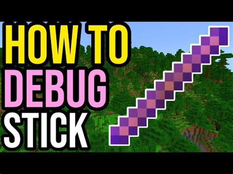 How To Get Use The Debug Stick Minecraft Bedrock Java YouTube