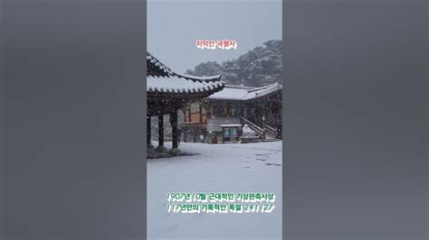 117년만의 기록적인 폭설 원주 하얀세상 Youtube