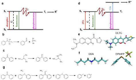 Schematic Representation Of The Radical Formation In 3d Laser