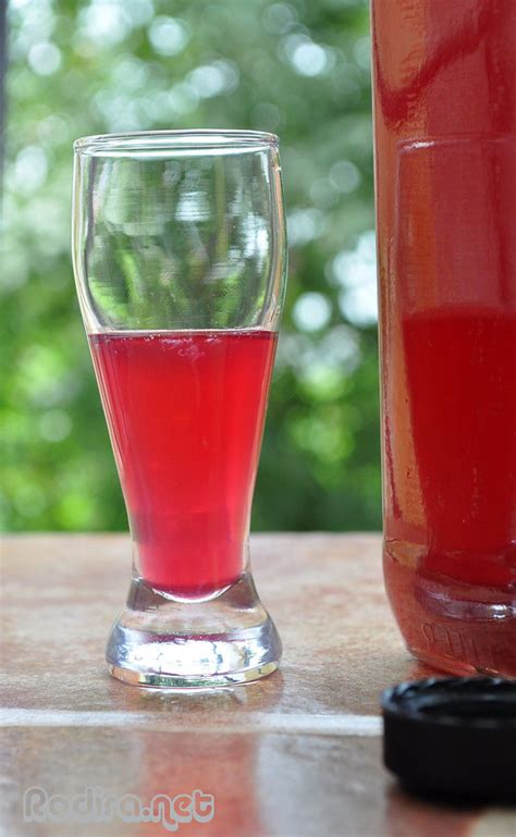 Продолжаем пьянствовать с вишней. Вишнёвый ликер… | Кулинарный блюз ...