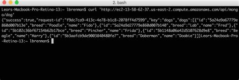 How To Run Your API Builder Docker Image On AWS EC
