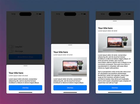 Bottom Sheet View Controller With Dynamic Content Height In Ios By