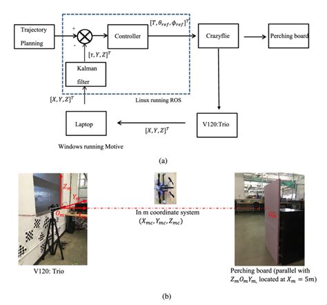 Experiment Scheme And Motion Tracking System Coordinate Setup The Download Scientific Diagram