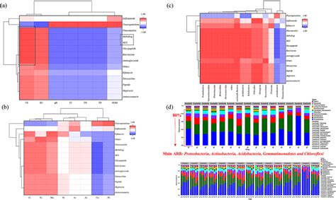 A Correlation Between Soil Physicochemical Properties And ARGs Download Scientific Diagram