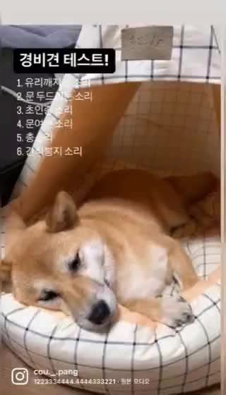 개그유머 BAND