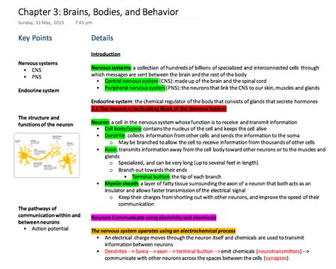 Onenote Organization Tips Acabuilding