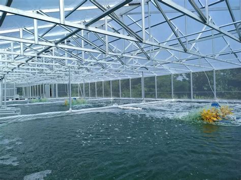 Algaepark Total Algae Solution