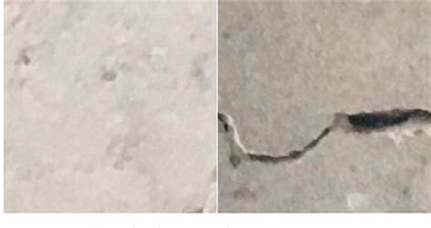 Figure 9 From Improving The Concrete Crack Detection Process Via A Hybrid Visual Transformer