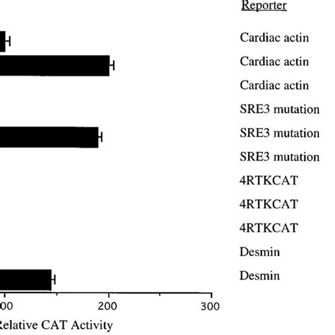 The Cardiac Actin Promoter Mutation In The Srf Binding Site Did Not