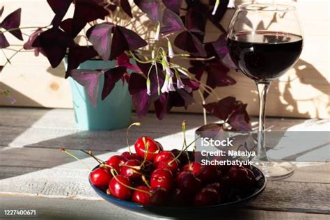 과일과 창턱에 빨간색과 흰색 와인 잔 밝은 태양 빛에 꽃병에 냄비와 꽃에 가정 식물 0명에 대한 스톡 사진 및 기타 이미지 0명 개화기 과일 Istock