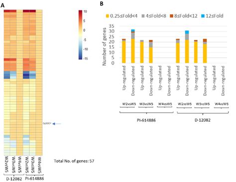 degs with similar temporal expression patterns in pi 614886 under