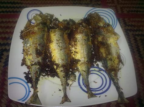 Warna Warni Kehidupan Ikan Jaket Pun Sodap