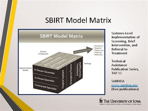 Screening Brief Intervention and Referral to Treatment SBIRT