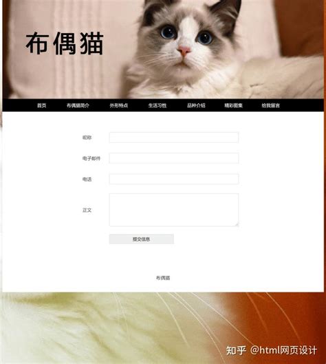 制作一个简单html宠物猫网页（html css） 知乎
