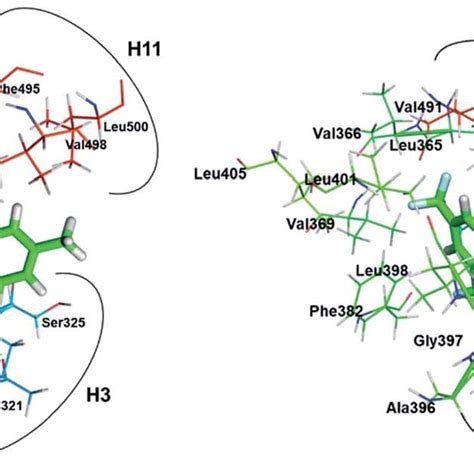 Pdf Exploring The Binding Mode And Thermodynamics Of Inverse Agonists