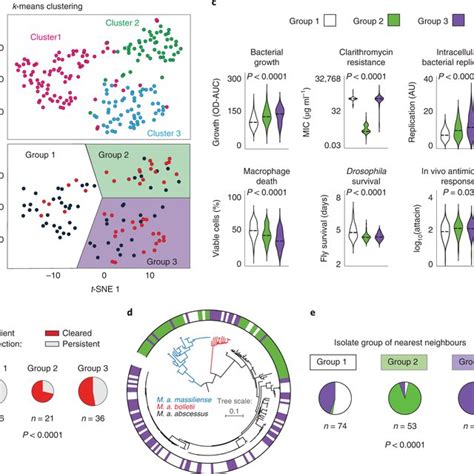 Phenotypic Groups Ab Clustering Of Clinical Isolates Using K Means Download Scientific