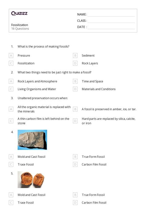 50 Fossils Worksheets For 9th Class On Quizizz Free And Printable