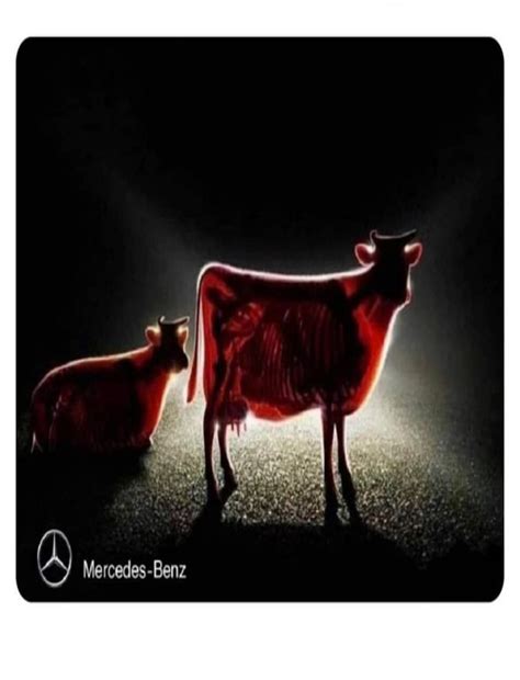 wael youssef on linkedin market marketing mercedesbenz cars auto