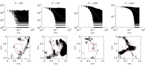 The Top Row Shows For Each Region The Normalized Autocorrelation For
