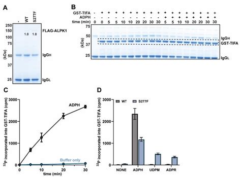 Bio Protocol On Linkedin Reproducibility Lifesciences Biochemistry