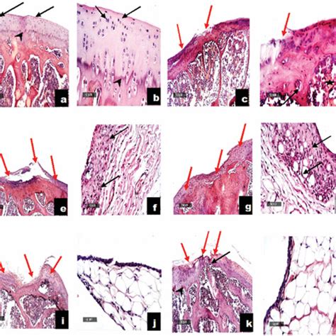 example of 3d response surface plots for the effect of formulation