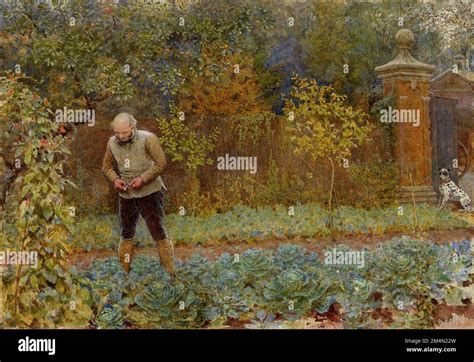 Frederick Walker El Aficionado O Cochero Y Repollo 1870 Museum British Museum Londres Uk