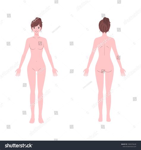 Naked Lady Explanation Stock Vector Royalty Free Shutterstock