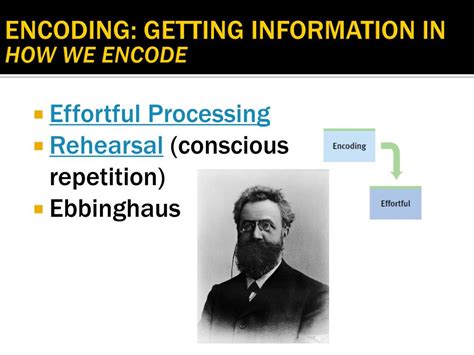 Ppt Cognition Memory Powerpoint Presentation Free Download Id2274524