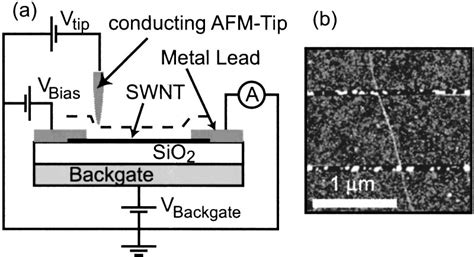 A Schematic Of The Experiment A Conducting Afm Probe Is Scanned Above Download Scientific