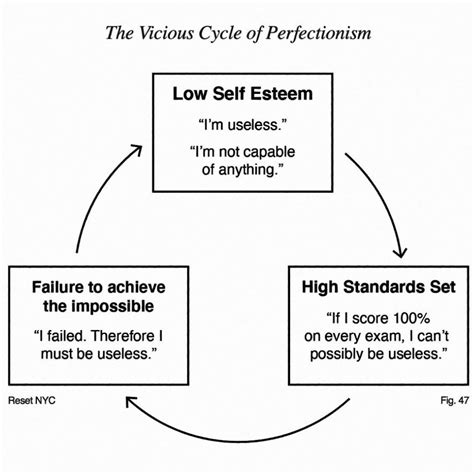 Steven Bartlett On Linkedin External Validation Will Never Actually