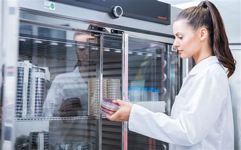 Detergent And Cleaning Product Tests Hohenstein
